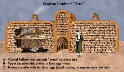 Ancient Egyptian Artificial Incubation of Eggs - Backyard Poultry
